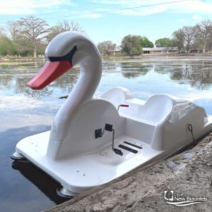 Landa Park Complete Guide: New Braunfels’ Most Iconic Park – TX Headlines