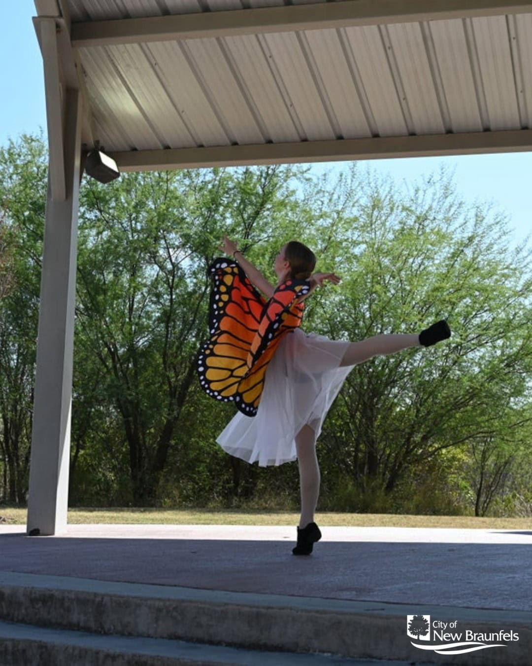 Your Complete Adventure Guide to Fischer Park and Trails – TX Headlines